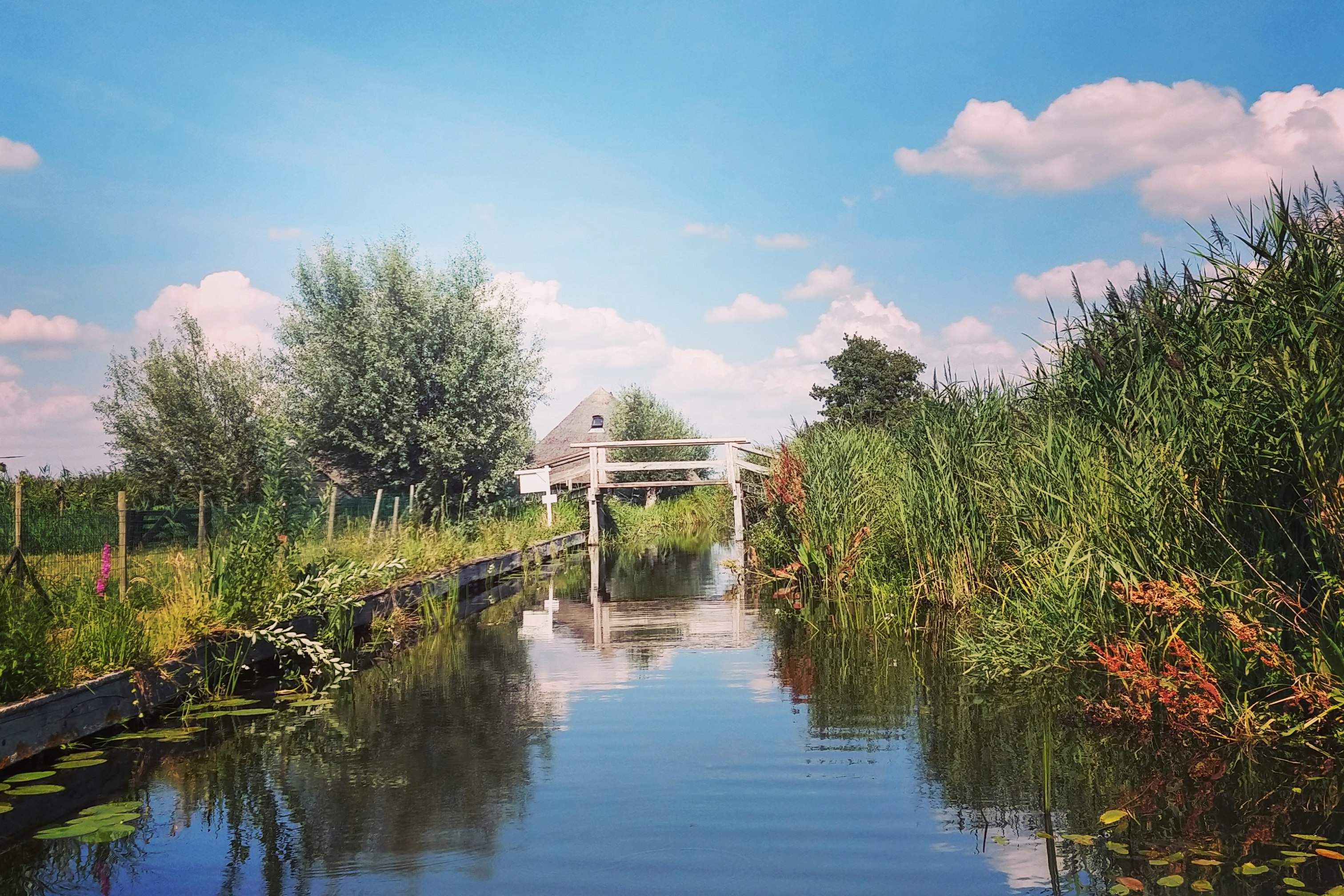 Camping Het Waterhoentje - Campingplatz in Overijssel | PiNCAMP by TCS