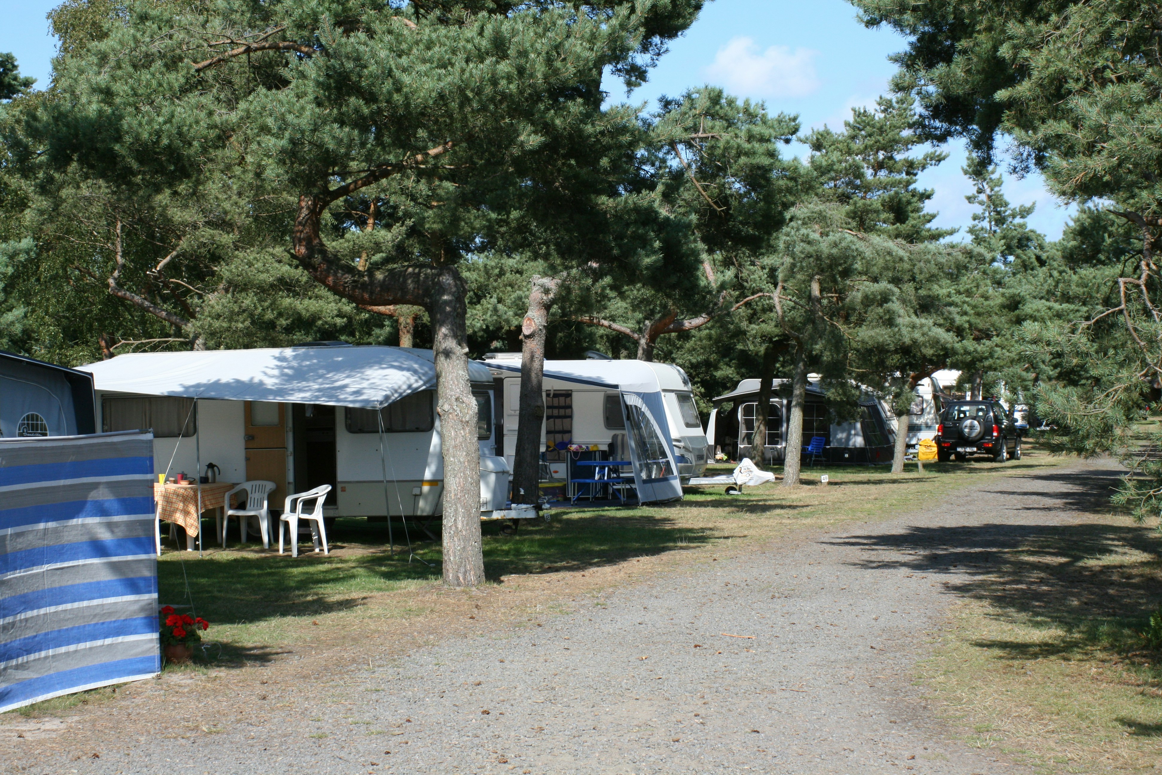 Møllers Dueodde Camping | PiNCAMP by TCS