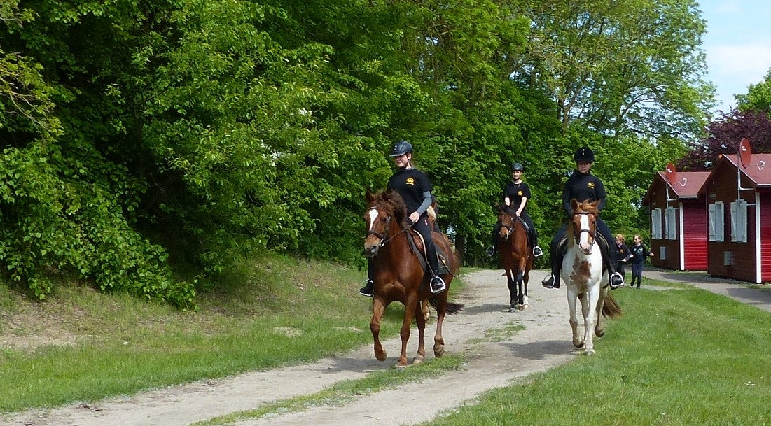 NaturCampingplatz Bernsteinreiter Barth | PiNCAMP by TCS